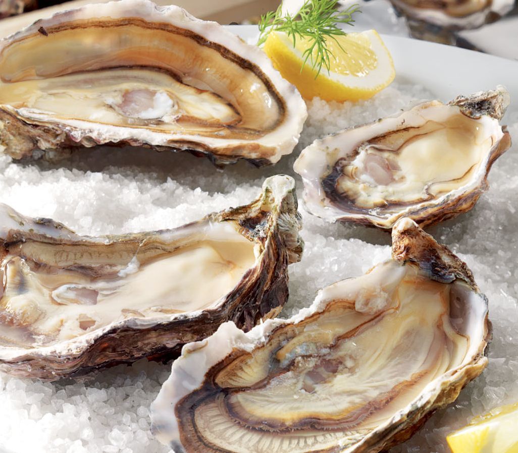 Minden, amit az osztrigáról tudni akartál. És az is, amit nem feltétlenül.