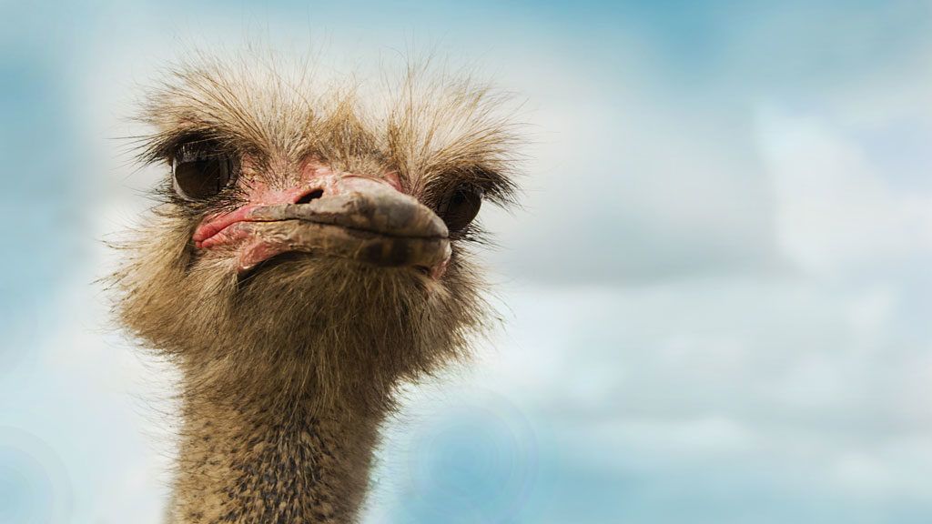 Strucc ejtett túszul több embert Esztergomban | nlc