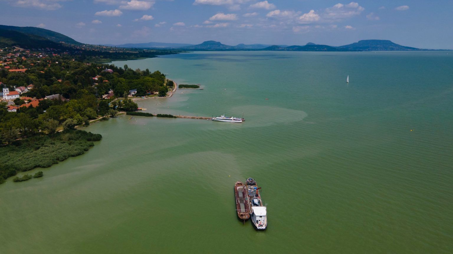 Kékalga a Balatonban