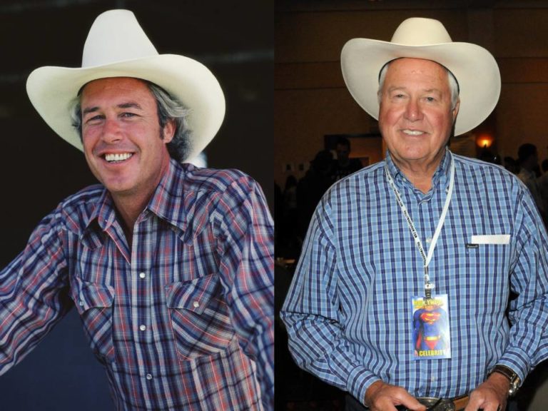 Így él Steve Francys Kanaly, vagyis Ray Krebbs a Dallasból