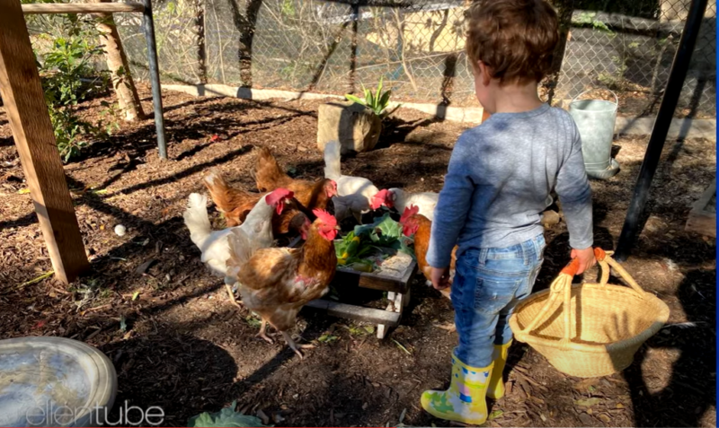 Már ilyen nagy Meghan Markle és Harry herceg fia