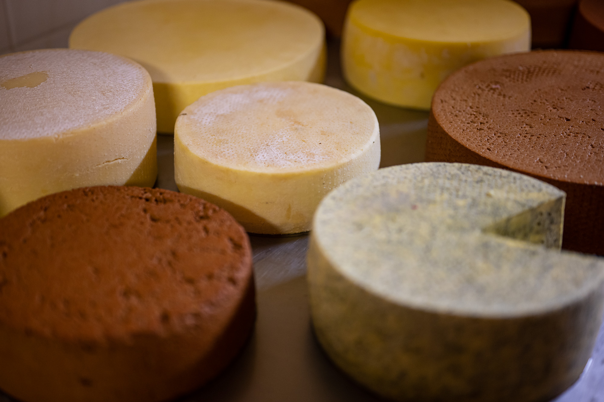 Korosa András, a Korosajt műhely tulajdonosának története