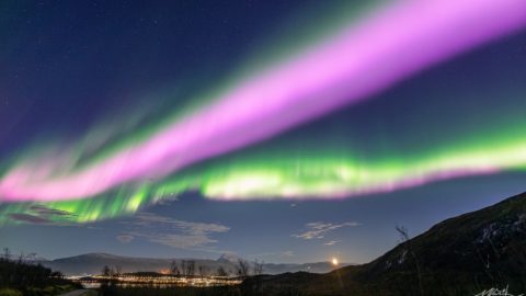 Rózsaszín sarki fény