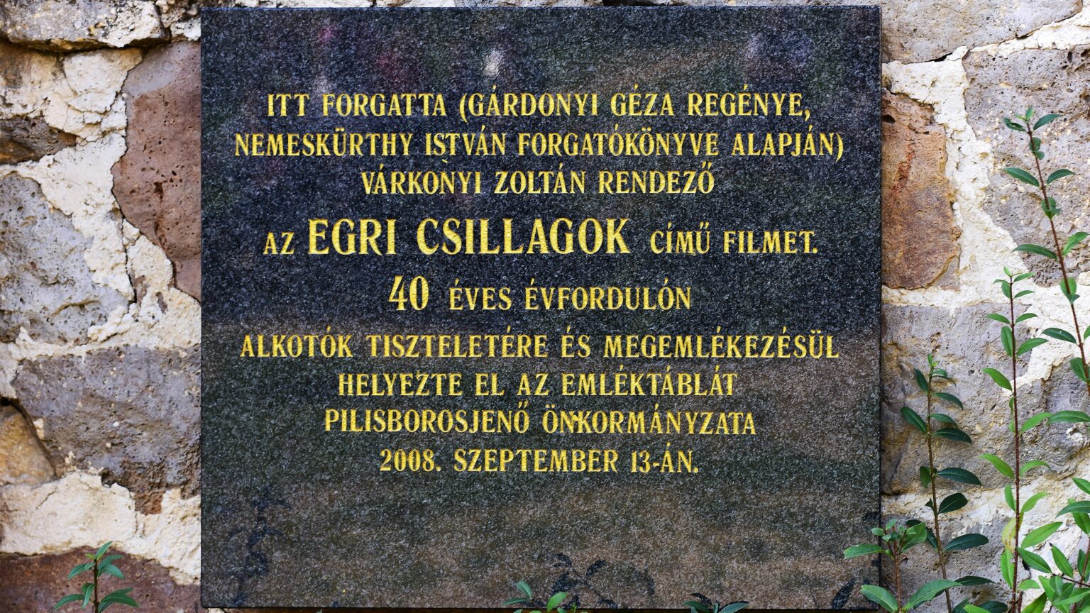 Filmes baki az Egri csillagokban