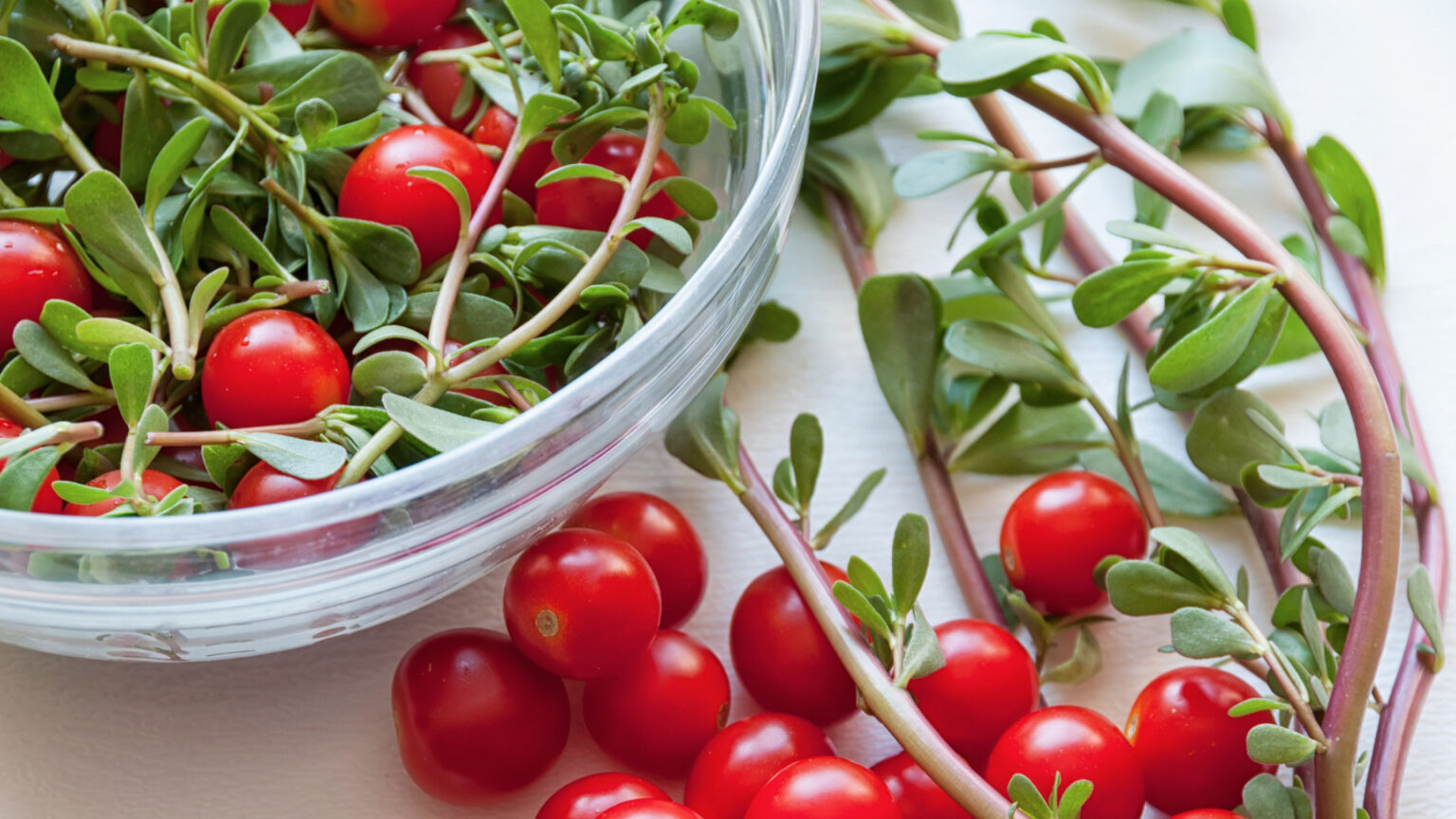 Kövér porcsin a konyhában: két recept az ehető vadnövényből