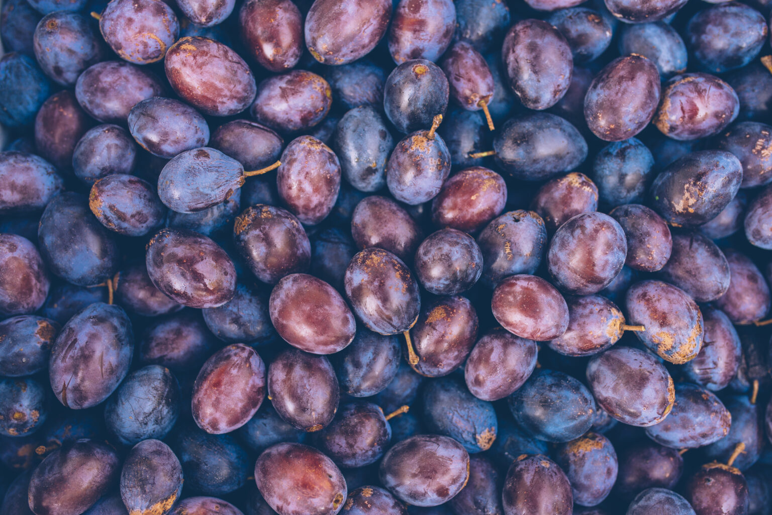 Gyors szilvaleves a hétköznapokra és az ünnepi vörösboros sültszilva-leves